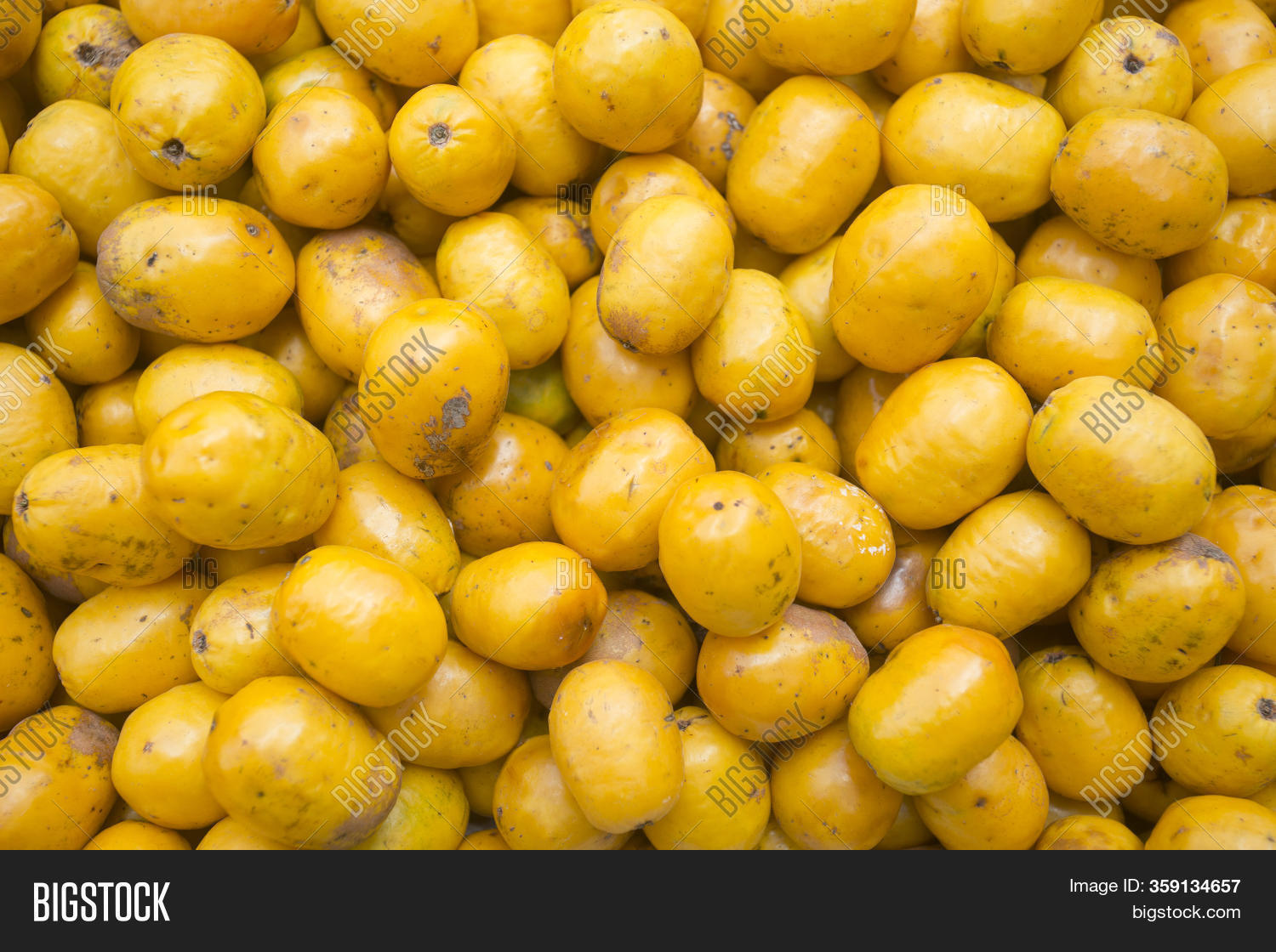 Spondias Purpurea - Image & Photo (Free Trial) | Bigstock
