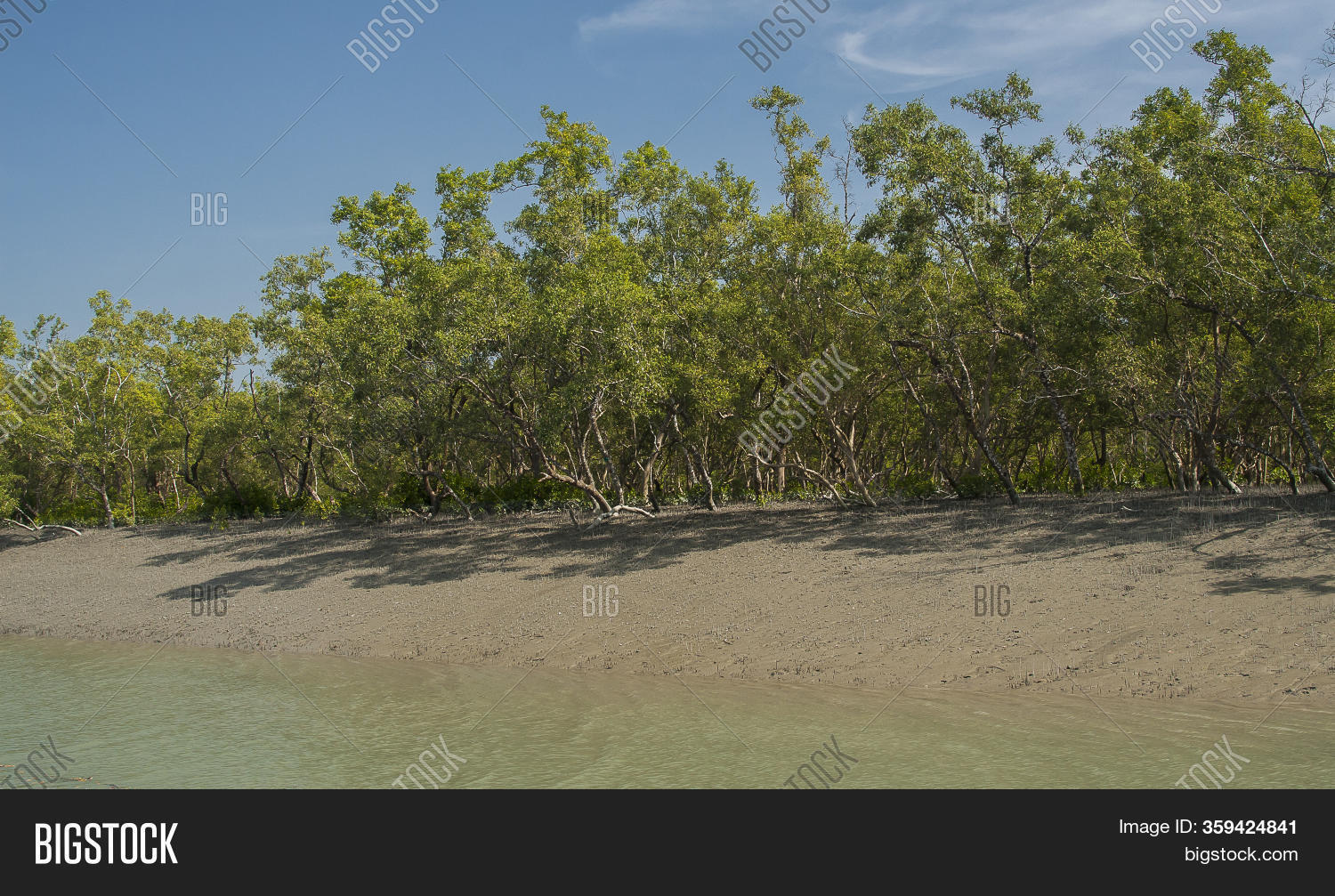 Sundarbans, India - Image & Photo (Free Trial) | Bigstock