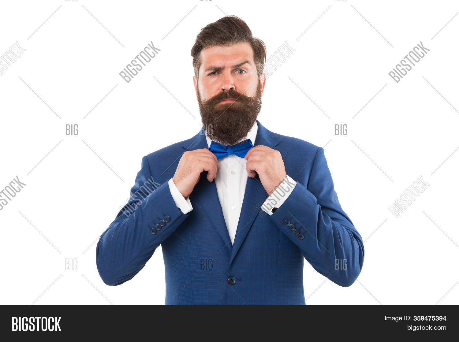 Man Suit Fixing Bow Image & Photo (Free Trial) | Bigstock