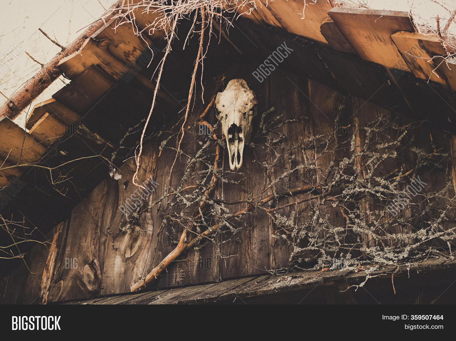 Ritual Occult Pagan Image & Photo (Free Trial) | Bigstock