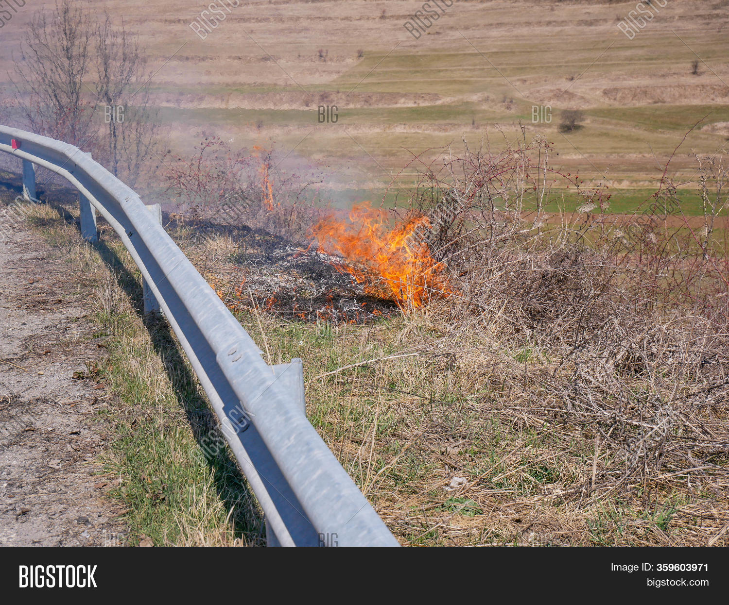 Burning Dried Image & Photo (Free Trial) | Bigstock