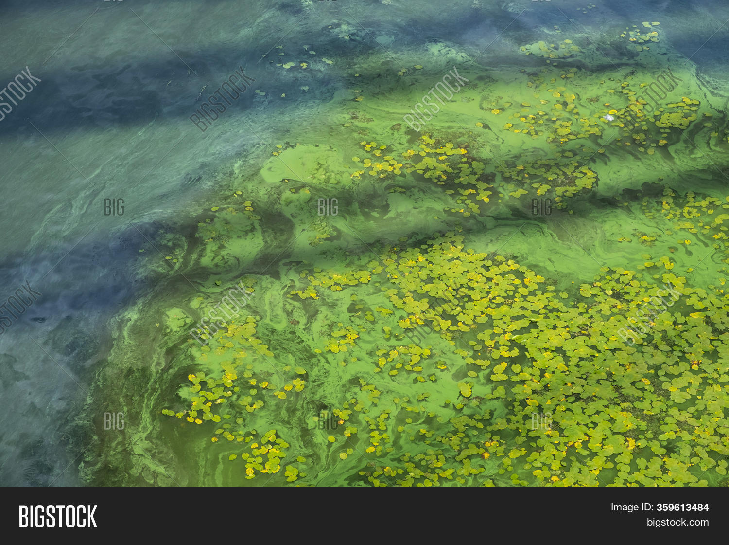 Dirty Water River. Image & Photo (Free Trial) | Bigstock