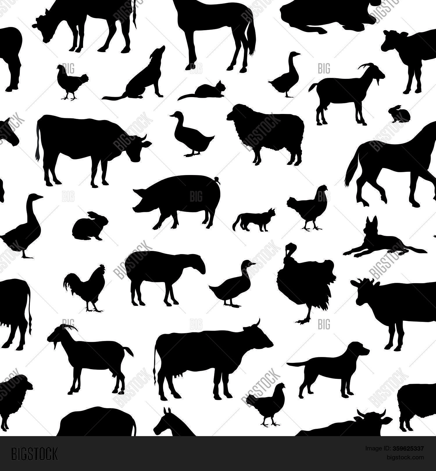 Livestock Seamless Vector & Photo (Free Trial) | Bigstock