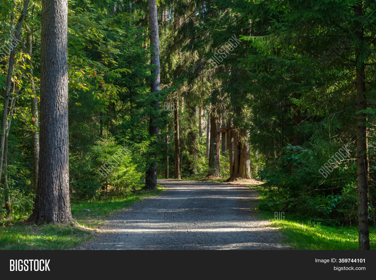 Gravel Path Stretching Image & Photo (Free Trial) | Bigstock