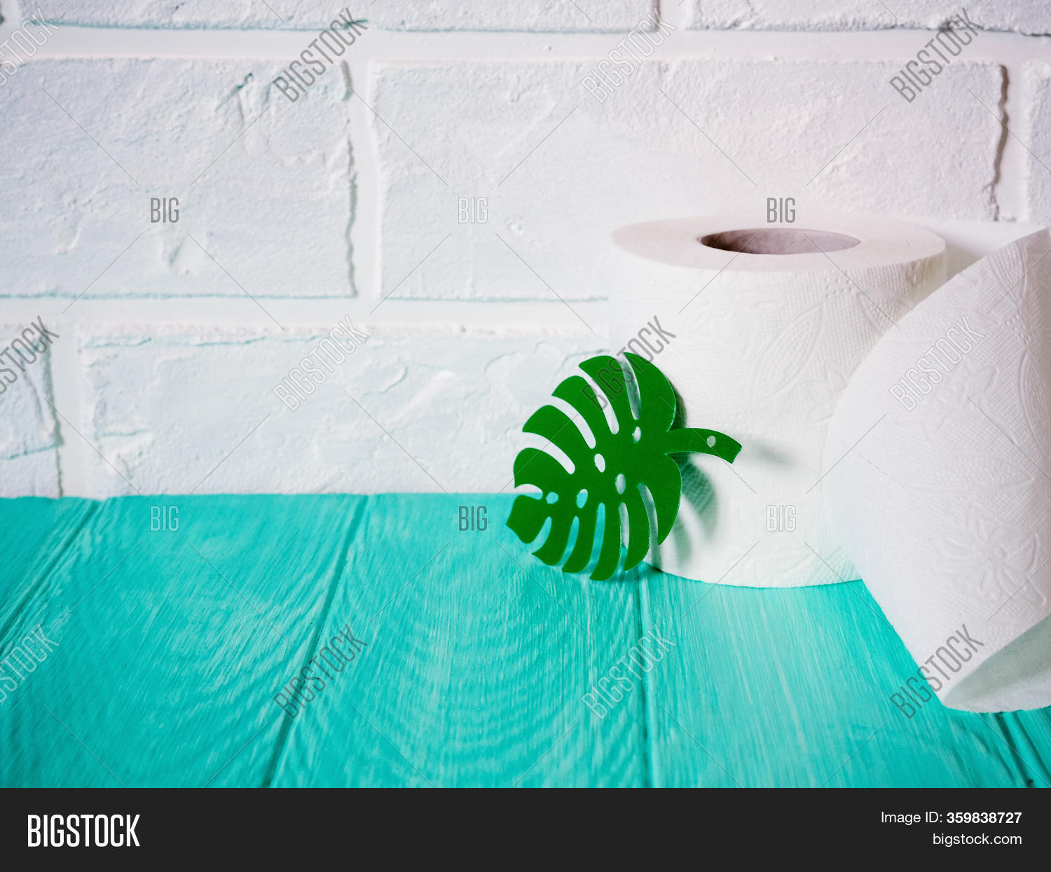 Bowl Toilet Paper Image & Photo (Free Trial) | Bigstock