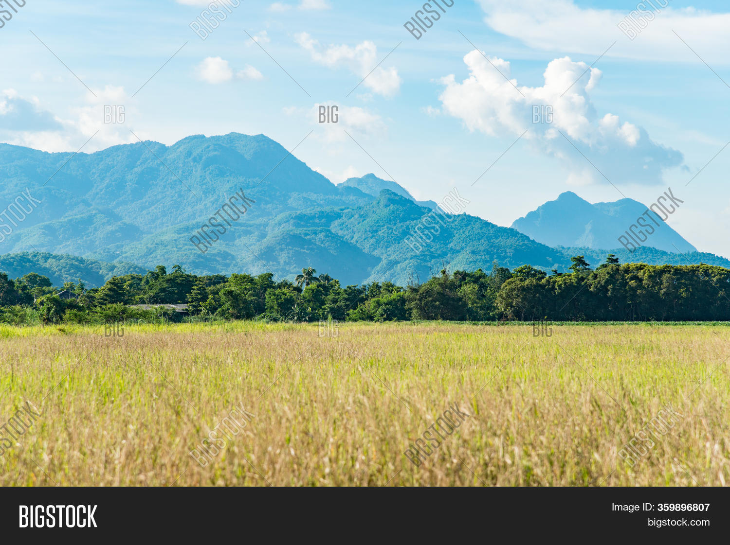 Scenery View Doi Nang Image & Photo (Free Trial) | Bigstock