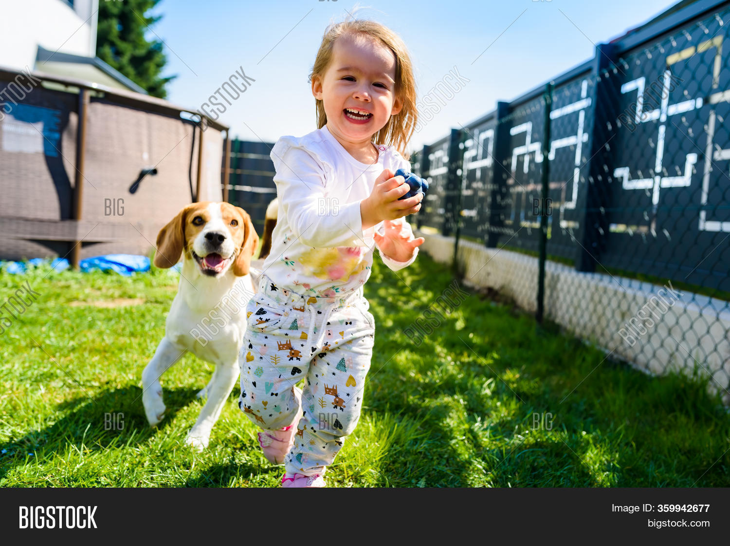 Child Playing Beagle Image & Photo (Free Trial) | Bigstock