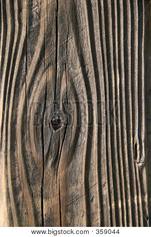 Heavy Tree Grain Image & Photo (Free Trial) | Bigstock