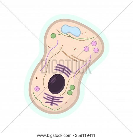 Human Cell Icon. Vector & Photo (Free Trial) | Bigstock