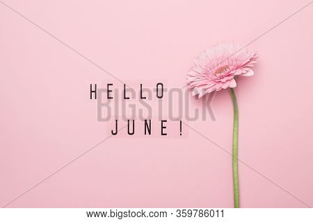Hello June Text Pink Image & Photo (Free Trial) | Bigstock