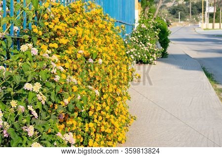 Terrace Blue Fence Image & Photo (Free Trial) | Bigstock