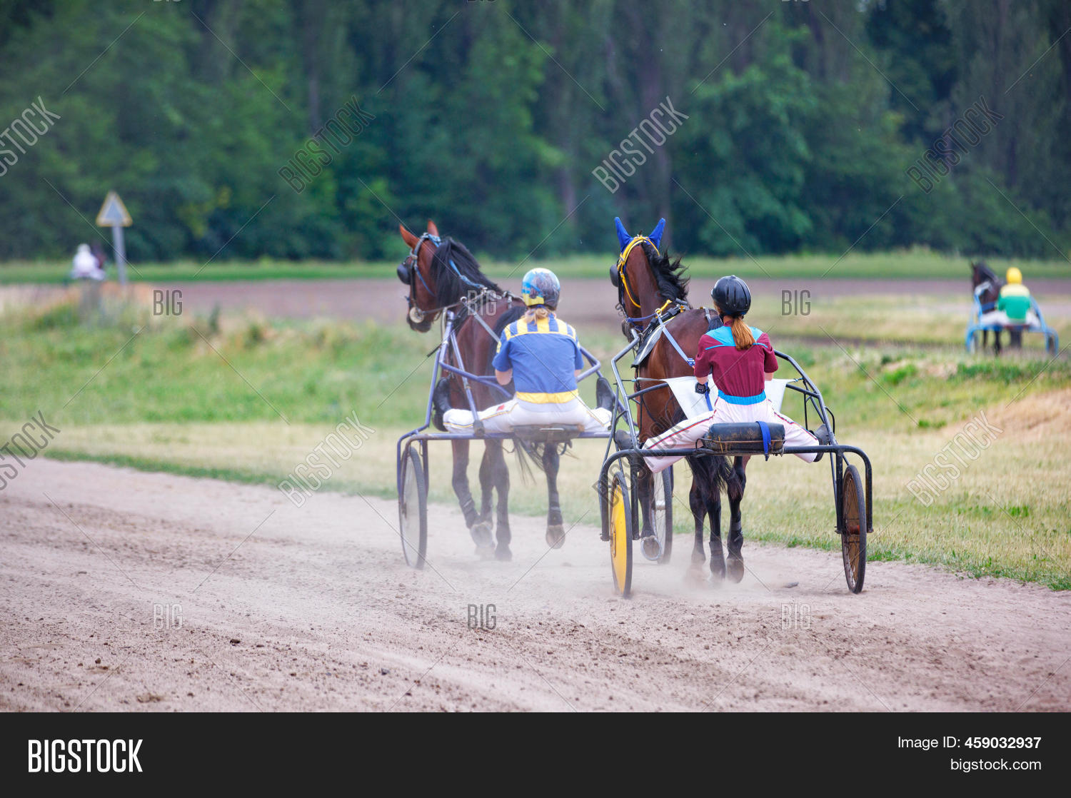 Women Chariot Riders Image & Photo (Free Trial) | Bigstock