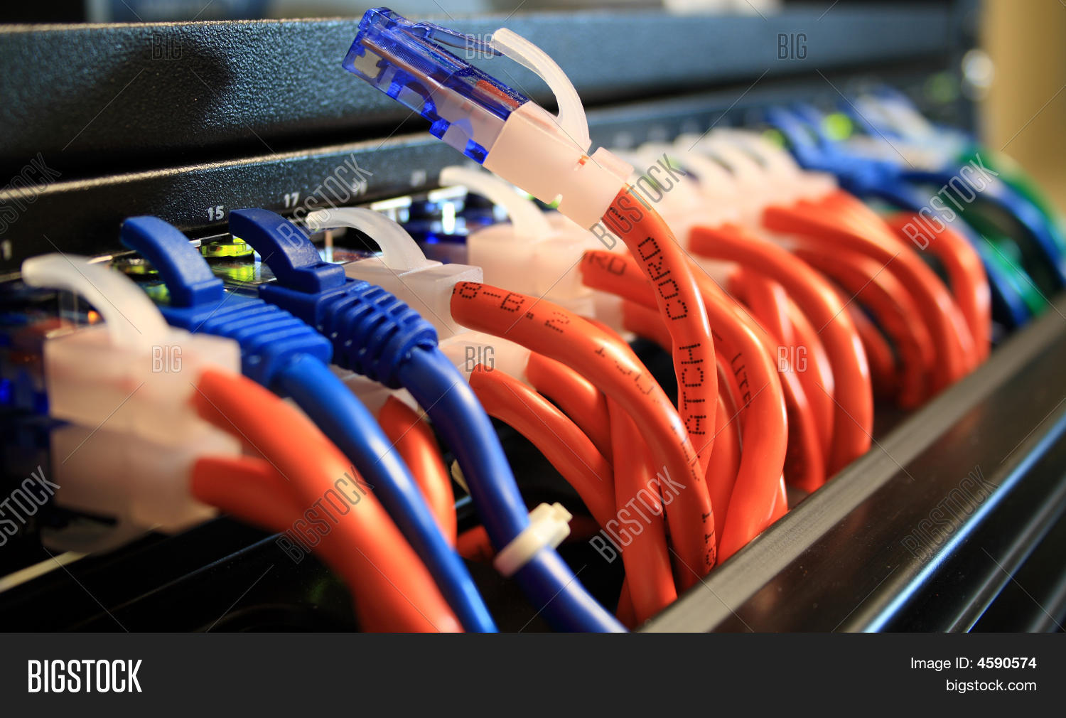 Network Cables Server Image & Photo (Free Trial) | Bigstock