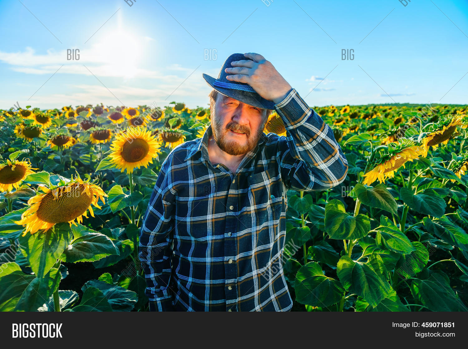 Tired Exhausted Farmer Image & Photo (Free Trial) | Bigstock