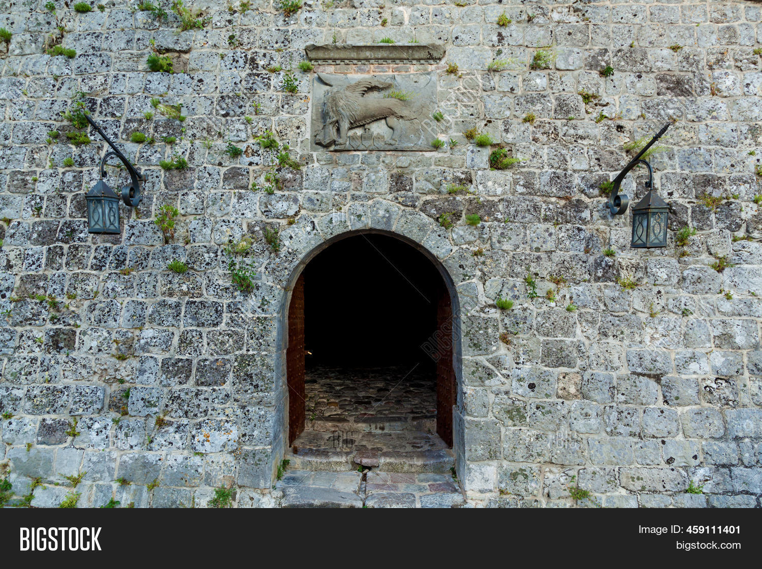 Different Types Image & Photo (Free Trial) | Bigstock