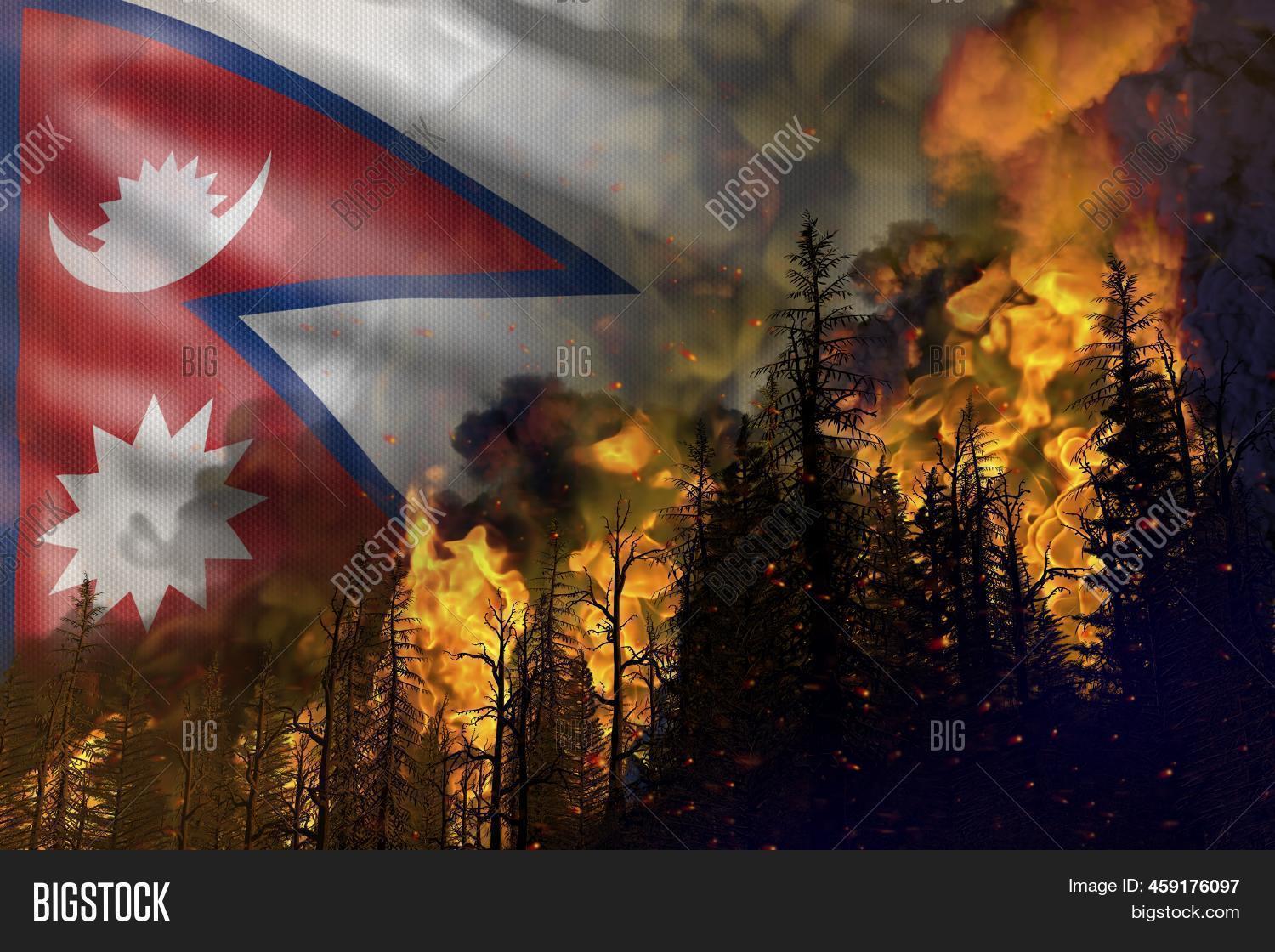Forest Fire Natural Image & Photo (Free Trial) | Bigstock