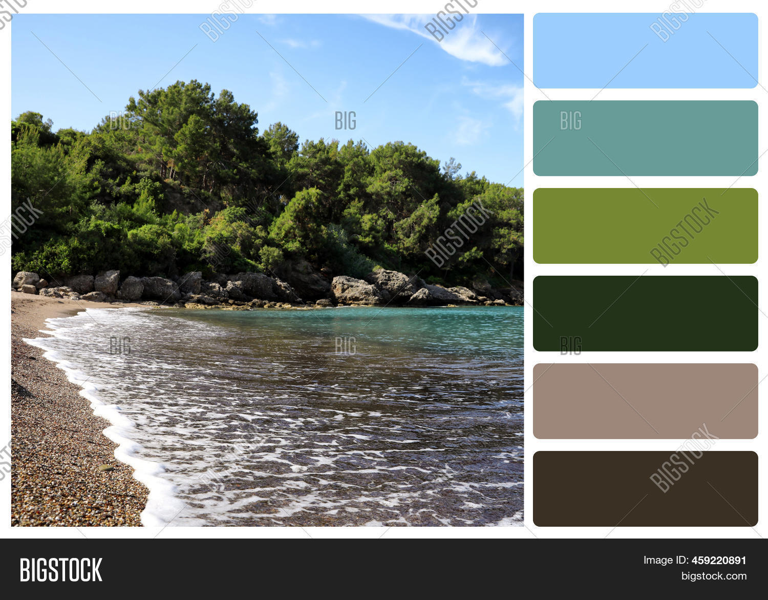 Color Palette Image & Photo (Free Trial) | Bigstock