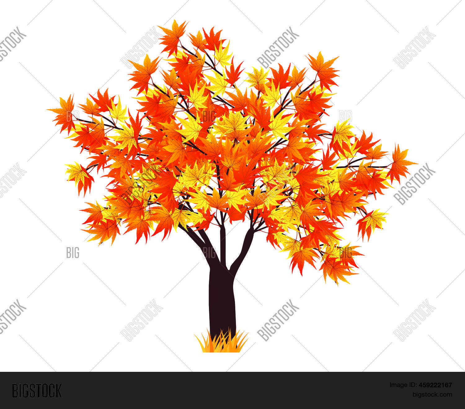 Autumn Maple Tree Vector & Photo (Free Trial) | Bigstock