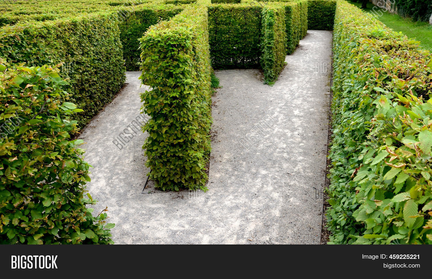 Outdoor Maze Kids. Image & Photo (Free Trial) | Bigstock