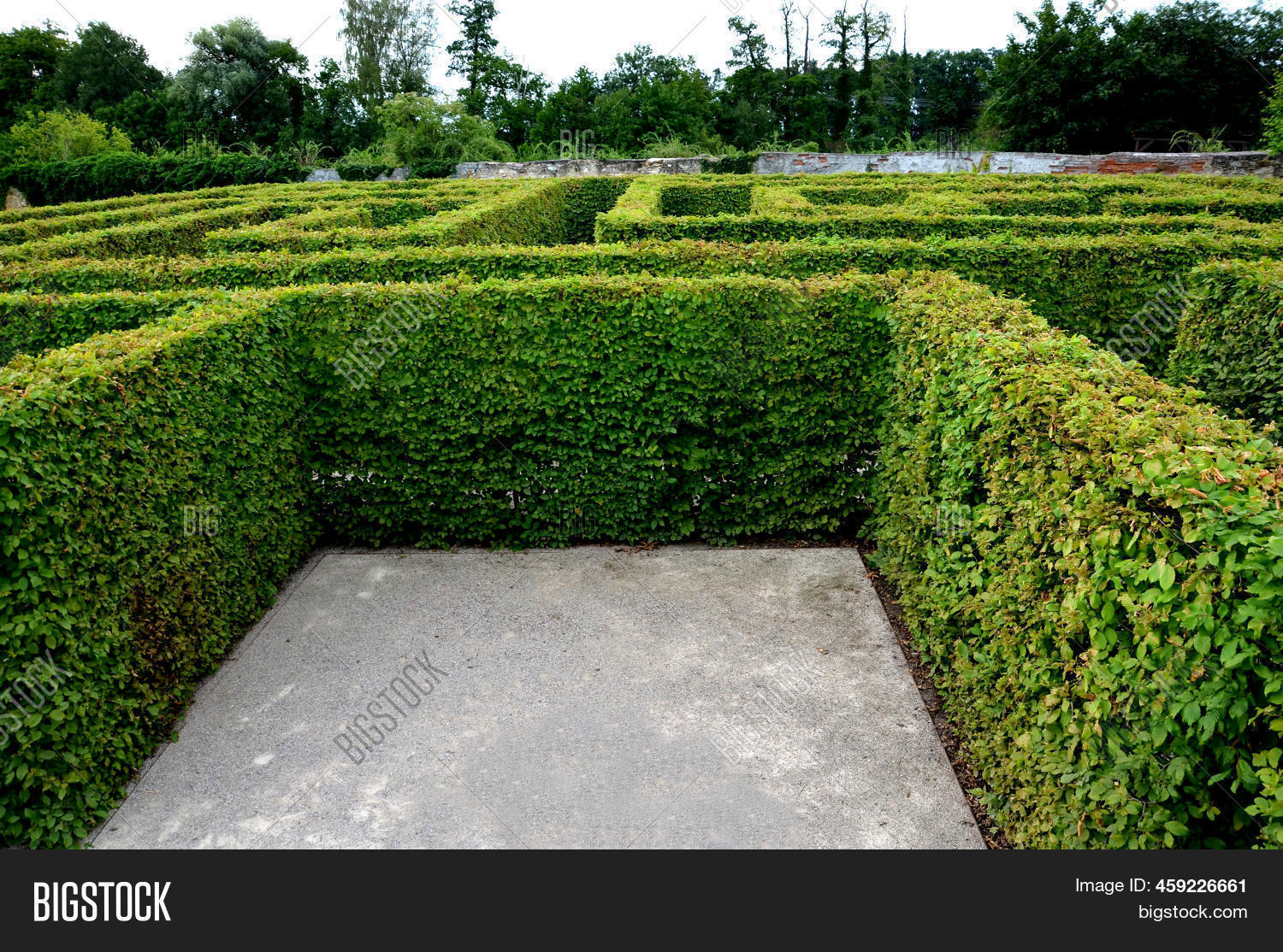 Outdoor Maze Kids. Image & Photo (Free Trial) | Bigstock