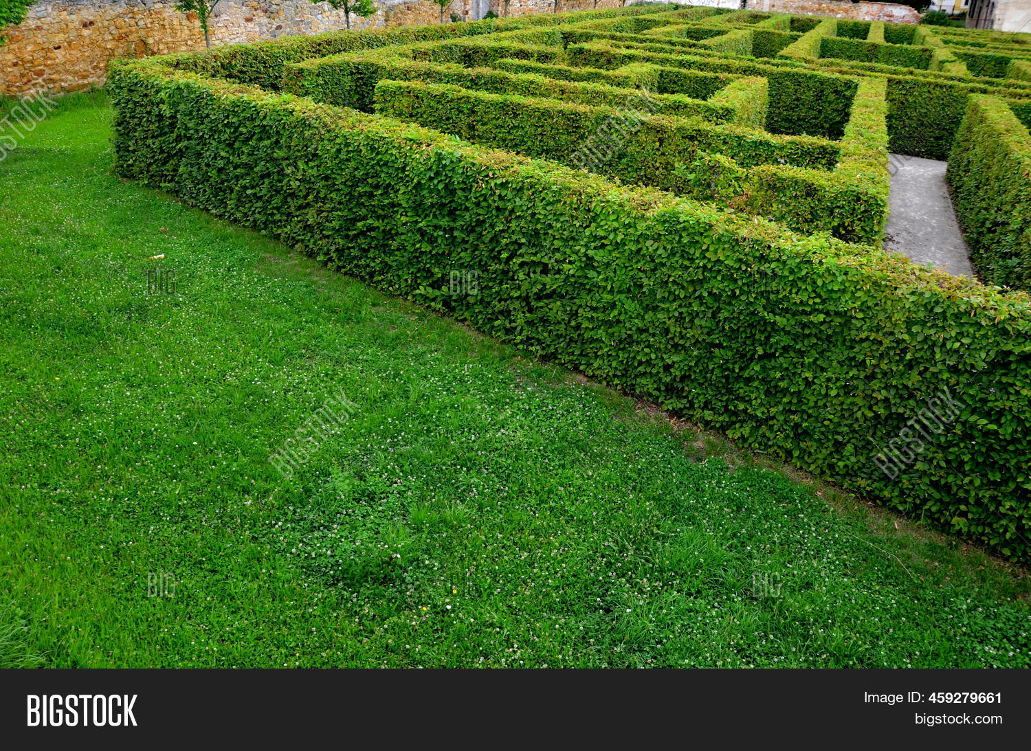 Outdoor Maze Kids. Image & Photo (Free Trial) | Bigstock