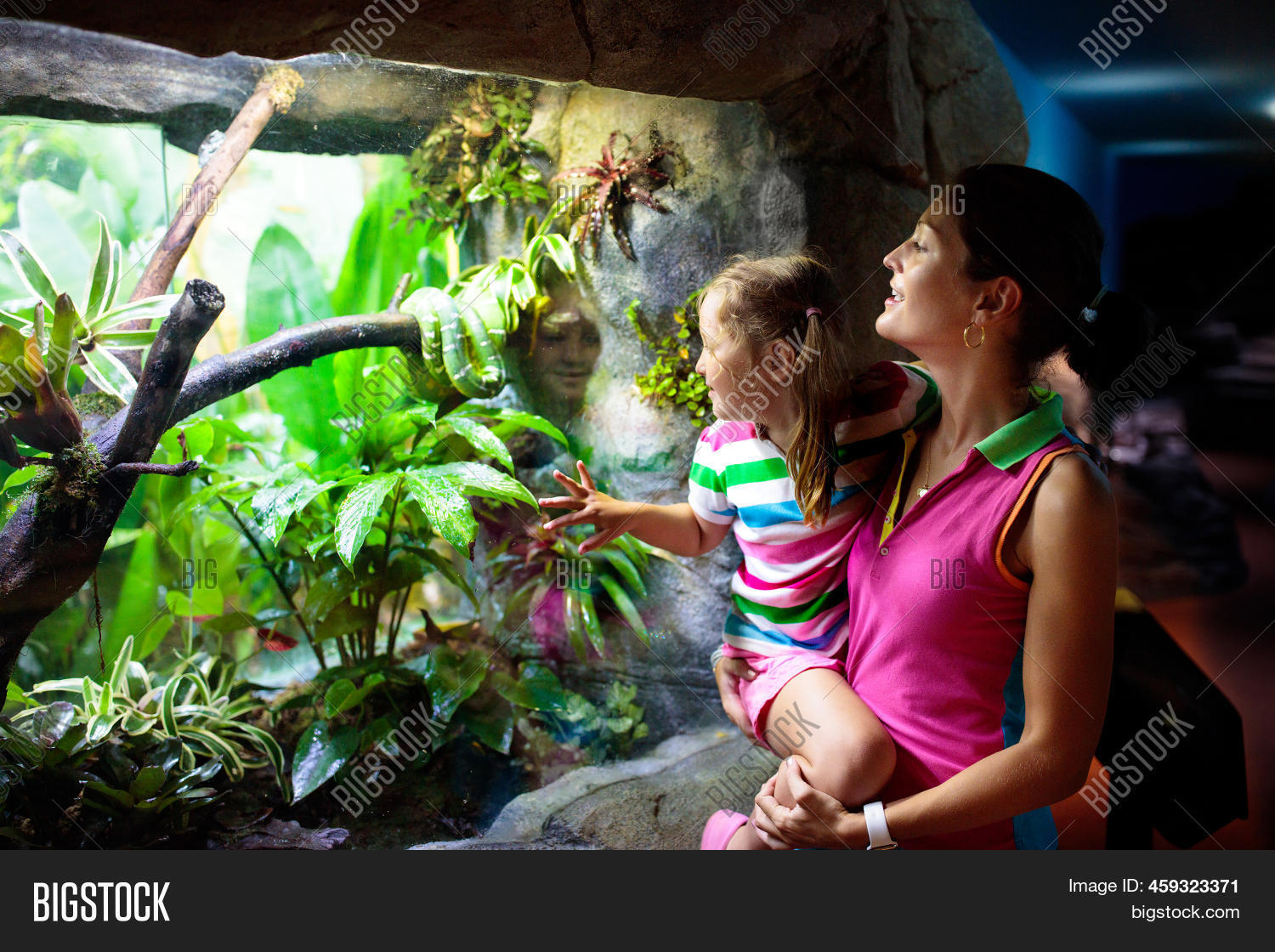 Family Watching Snake Image & Photo (Free Trial) | Bigstock