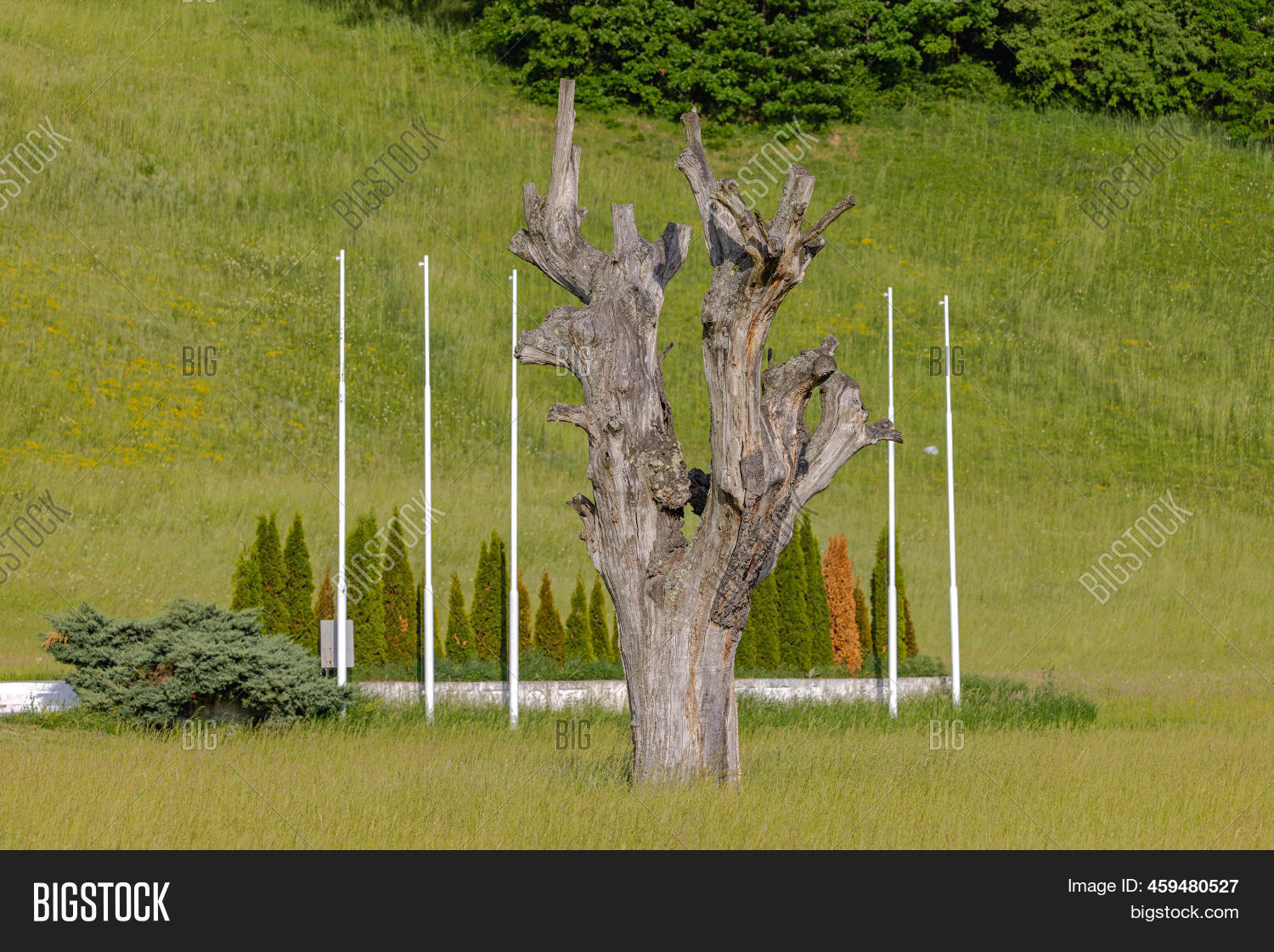 Historical Landmark Image & Photo (Free Trial) | Bigstock