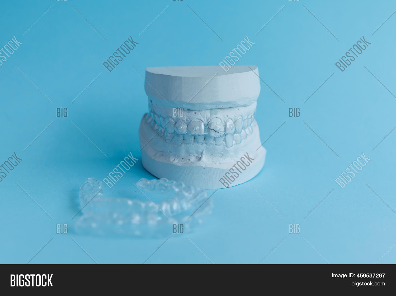 Plaster Human Jaw Image & Photo (Free Trial) | Bigstock