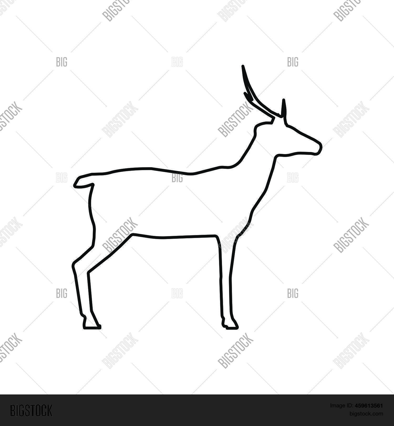 Animal Deer Outline Vector & Photo (Free Trial) | Bigstock