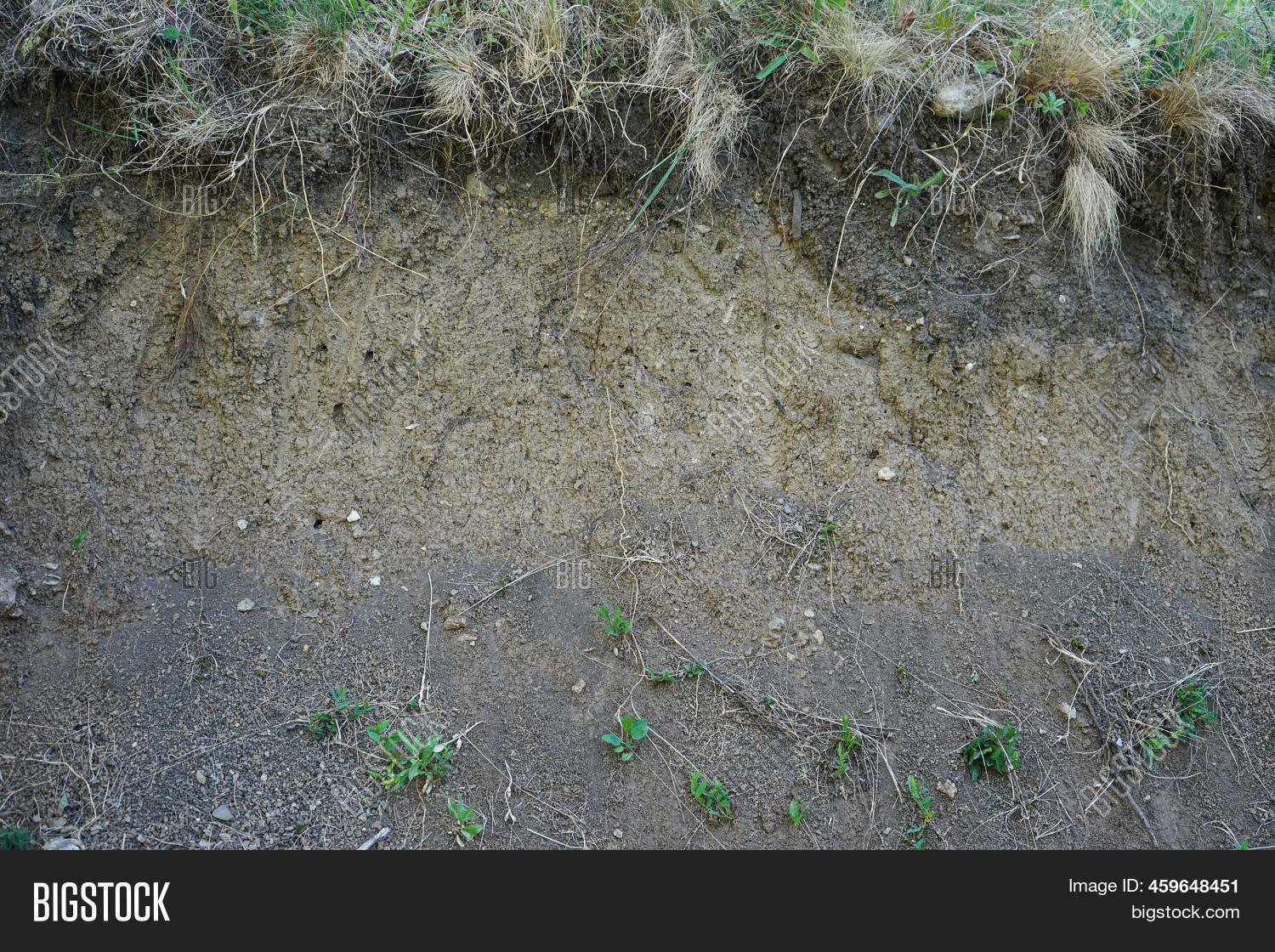 Cross-section Soil. Image & Photo (Free Trial) | Bigstock