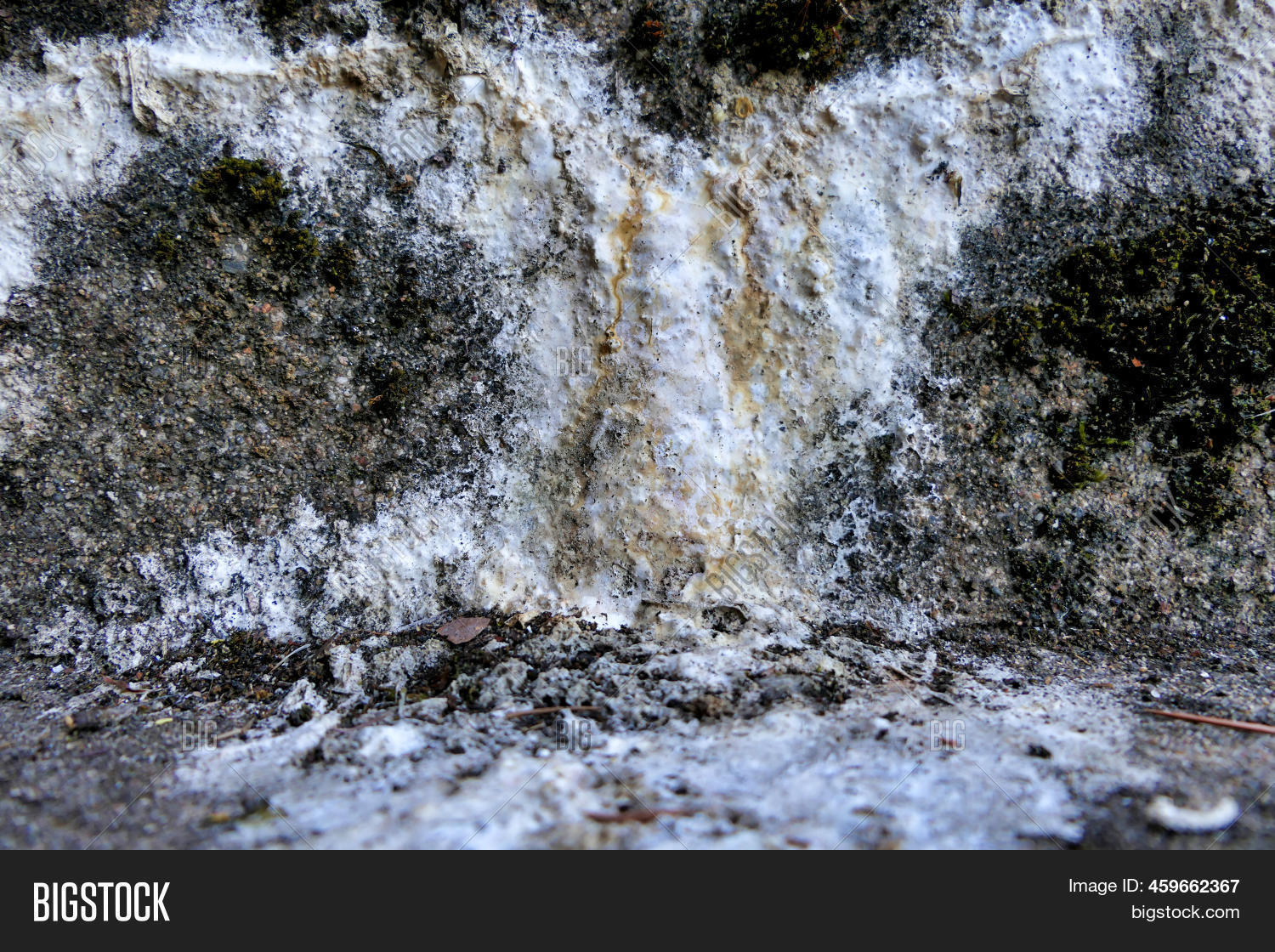 White Substance Oozing Image & Photo (Free Trial) | Bigstock