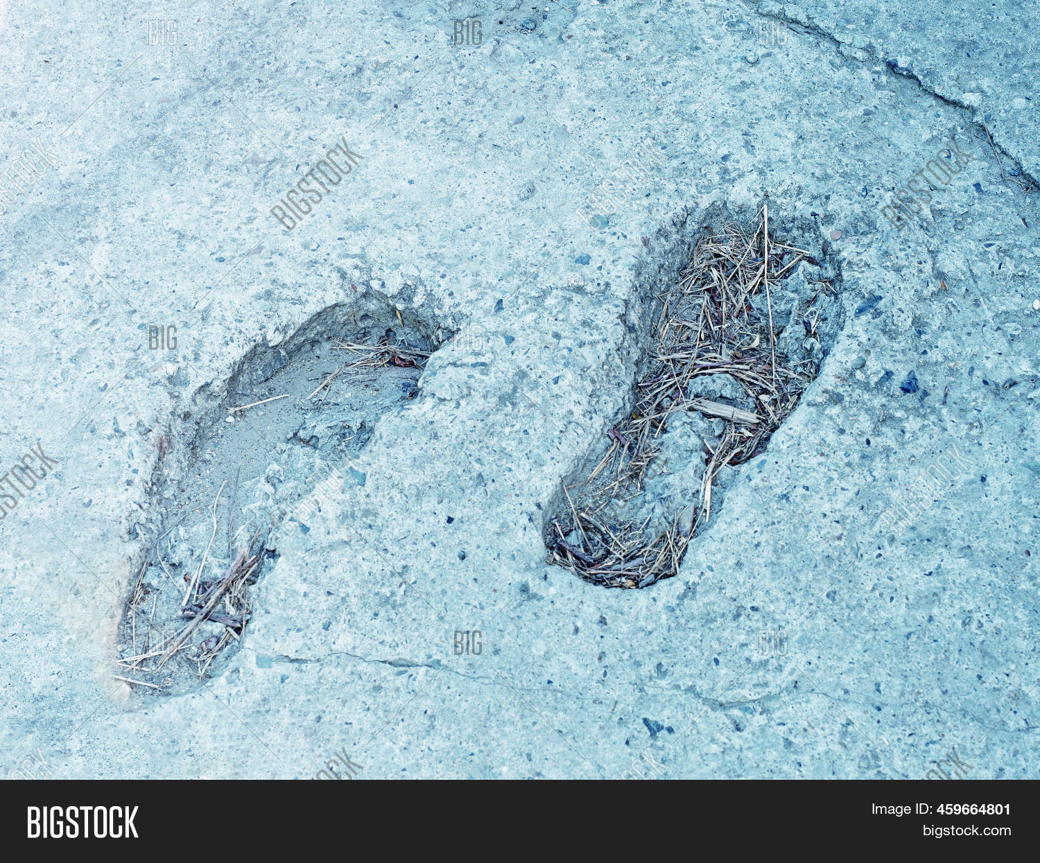 Footprint Shoe On Image & Photo (Free Trial) | Bigstock