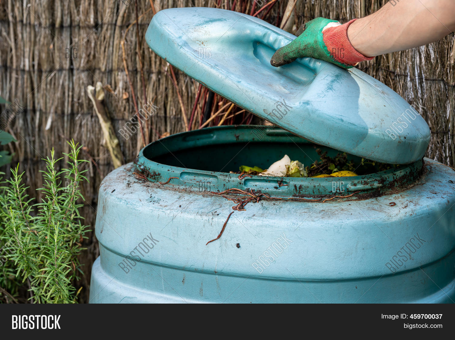 Detail Plastic Compost Image & Photo (Free Trial) | Bigstock