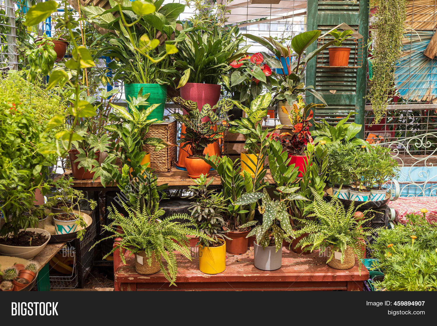 Entrance Flower Shop. Image & Photo (Free Trial) | Bigstock