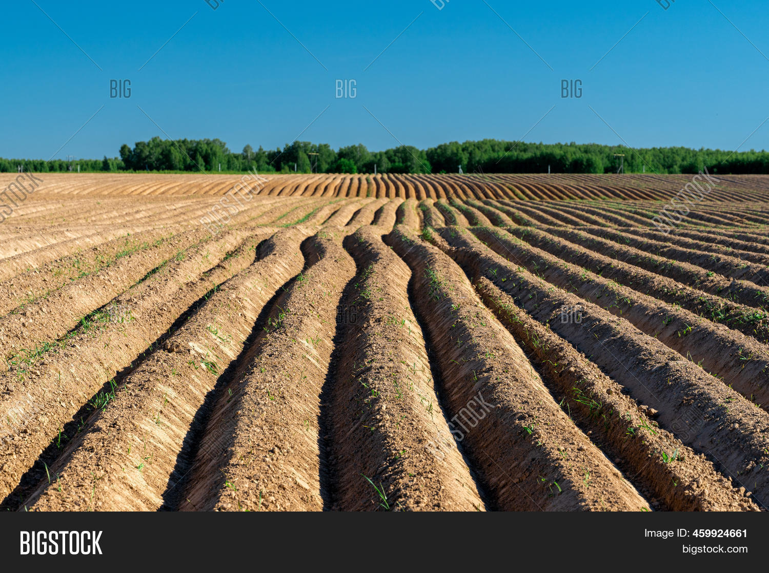 Arable Land Ploughed Image & Photo (Free Trial) | Bigstock