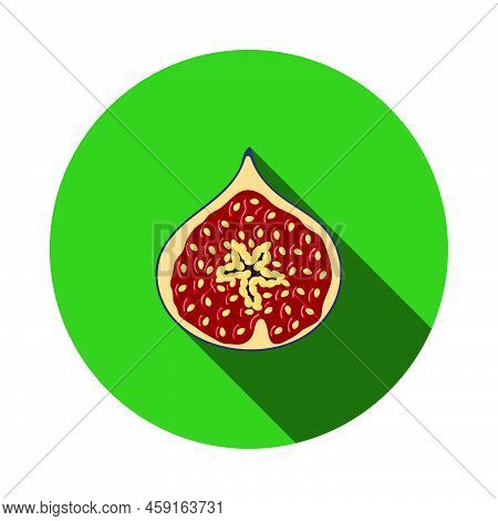 Icon Fig Fruit Ui Vector & Photo (Free Trial) | Bigstock