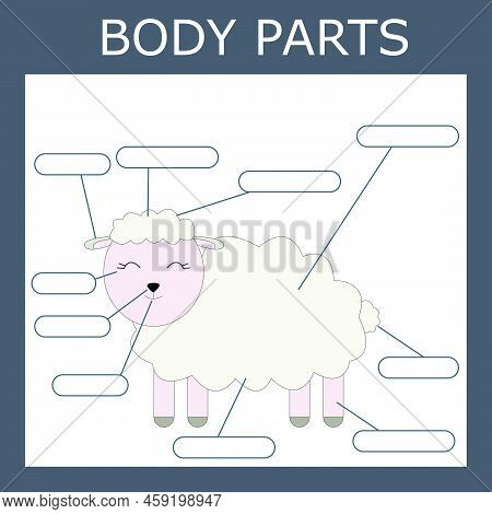 Write Down Body Parts Vector & Photo (Free Trial) | Bigstock