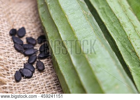 Ridges Gourd Stock Image & Photo (Free Trial) | Bigstock