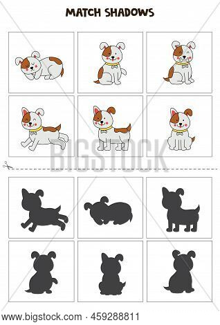 Shadow Matching Cards Vector & Photo (Free Trial) | Bigstock