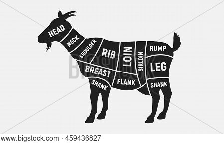 Cuts Goat. Butcher Vector & Photo (Free Trial) | Bigstock