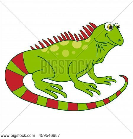 Salamander. Cartoon Vector & Photo (Free Trial) | Bigstock