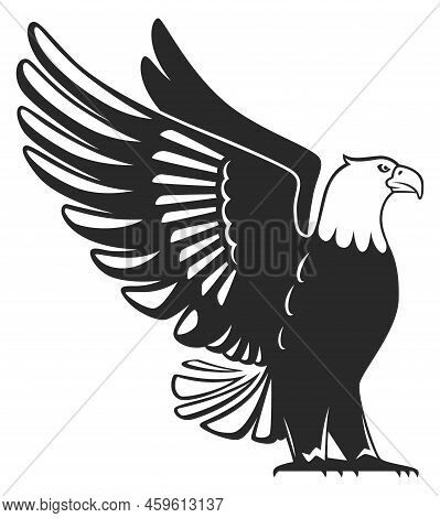 Bald Eagle Insignia. Vector & Photo (Free Trial) | Bigstock