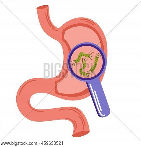 Helicobacter Pylori Vector & Photo (Free Trial) | Bigstock