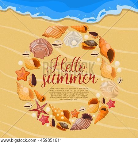 Summer Sea Shells Vector & Photo (Free Trial) | Bigstock