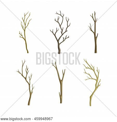 Bare Tree Branch Vector & Photo (Free Trial) | Bigstock