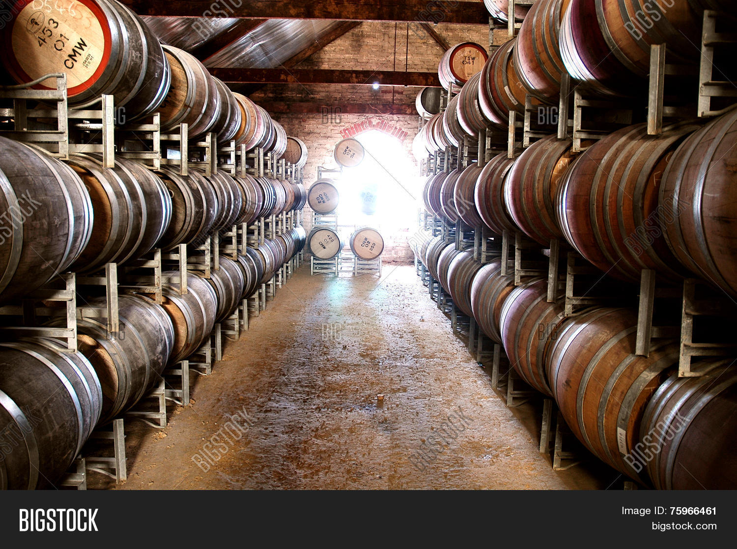 Wine Barrel Storage Image & Photo (Free Trial) | Bigstock