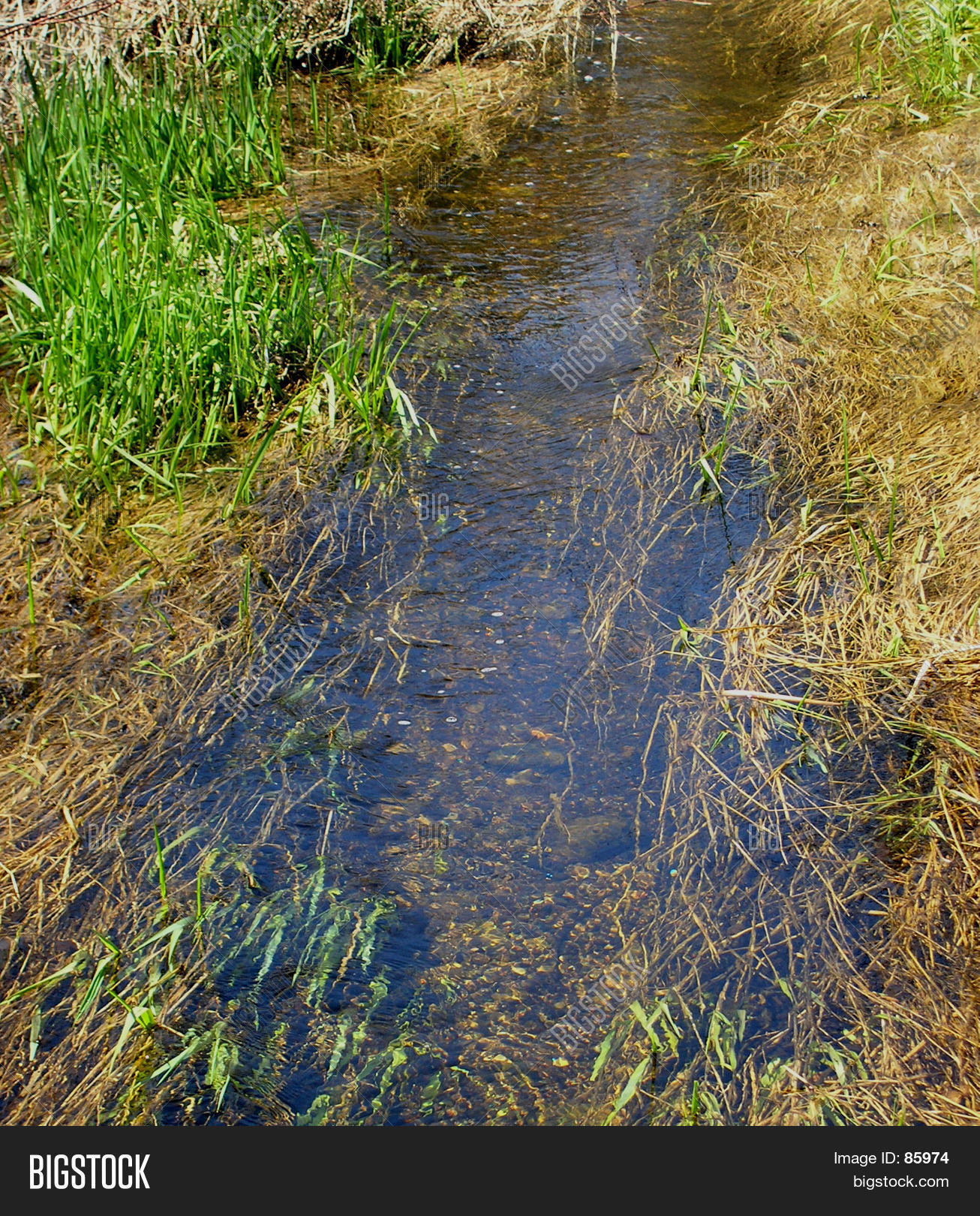 Spring Streams Image & Photo (Free Trial) | Bigstock