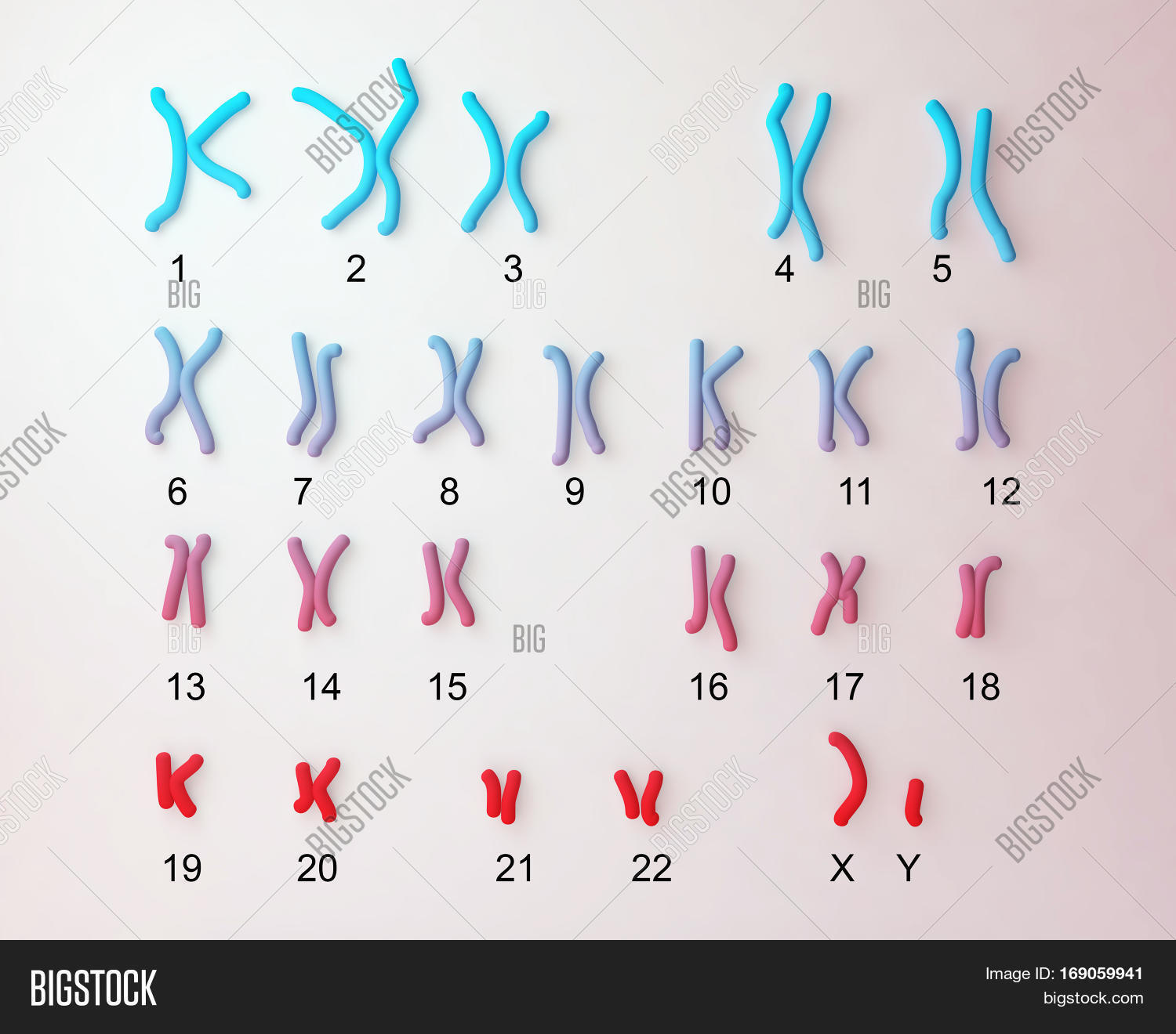 Normal Human Male Image & Photo (Free Trial) | Bigstock