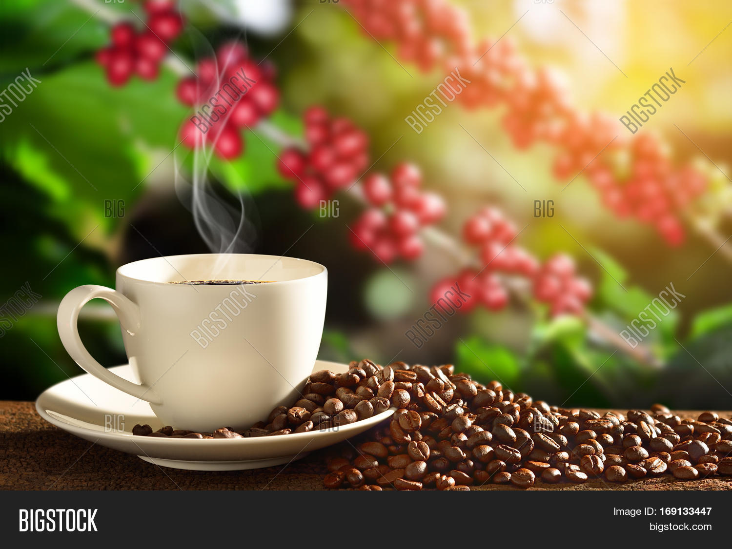 Cup Coffee Smoke Image & Photo (Free Trial) | Bigstock