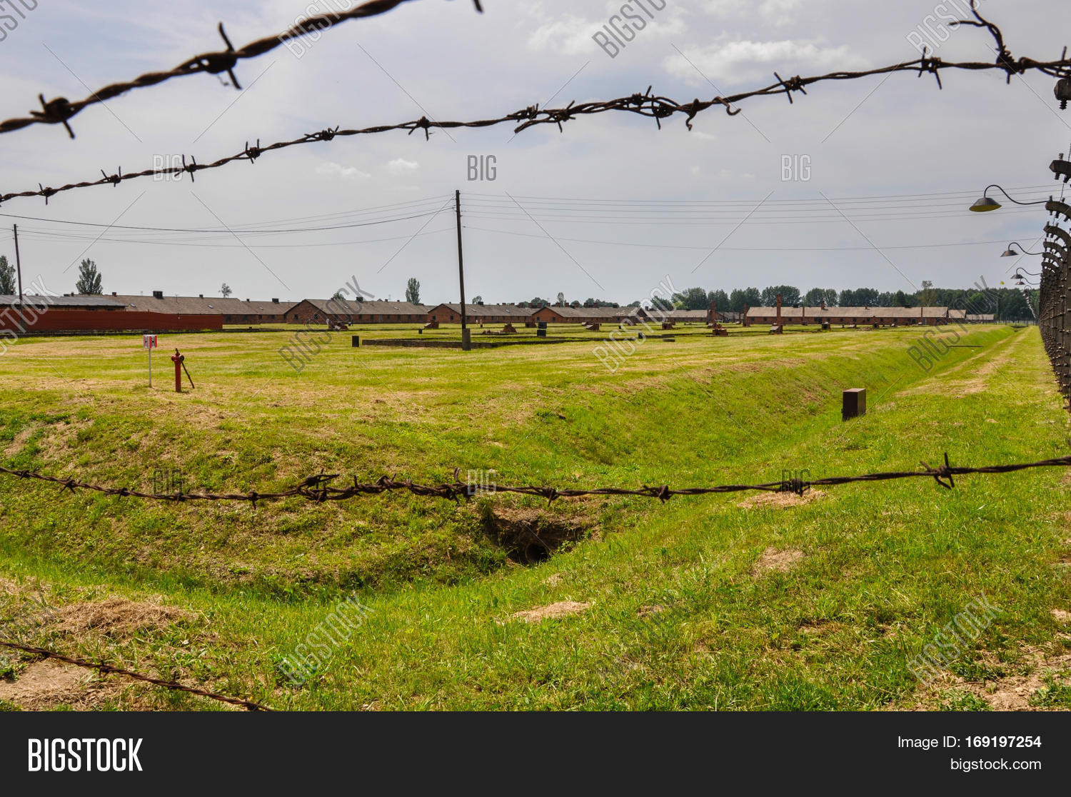 Fence Concentration Image & Photo (Free Trial) | Bigstock